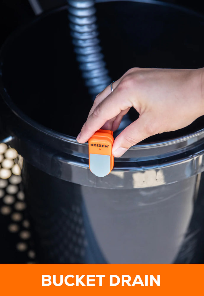 Reserve Now – Backyard Banger